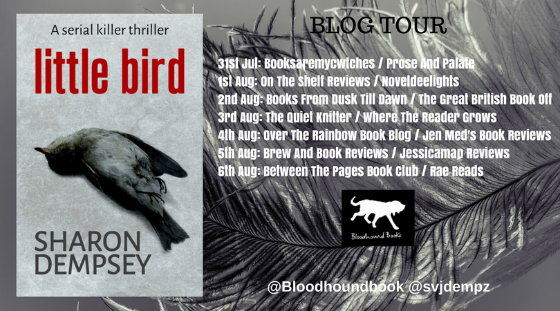 Blog Tour & Review – Little Bird by Sharon Dempsey – Jessicamap Reviews