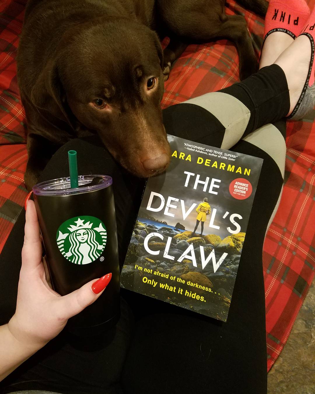 The Devil’s Claw – Lara Dearman – Jessicamap Reviews