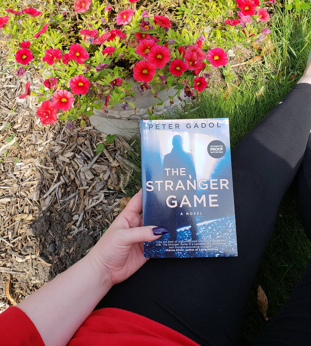 Book Mail – The Stranger Game by Peter Gadol – Jessicamap Reviews