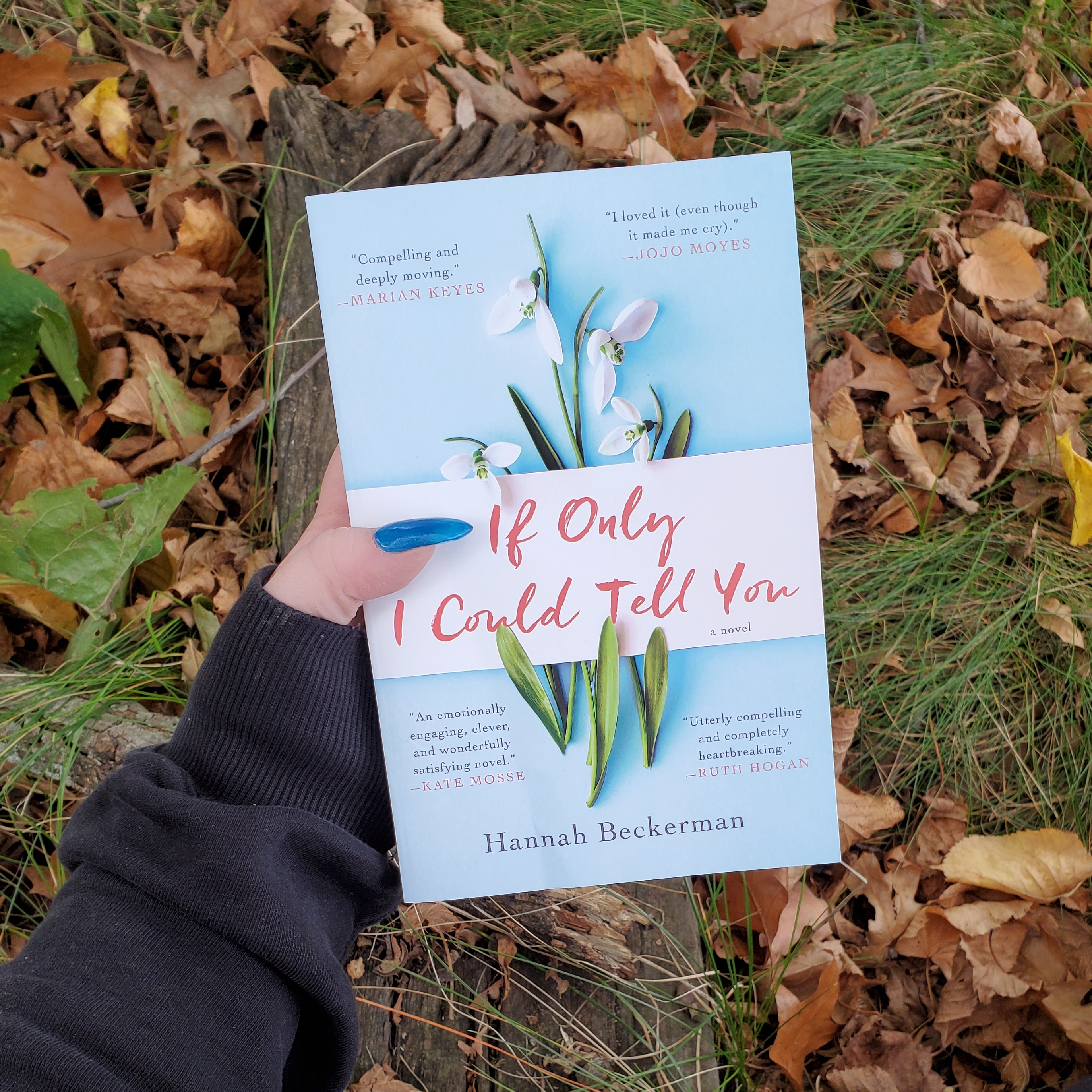 Book Mail – If Only I Could Tell You by Hannah Beckerman – Jessicamap ...