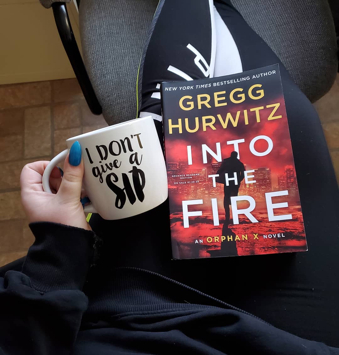 Into the Fire – Gregg Hurwitz – Jessicamap Reviews