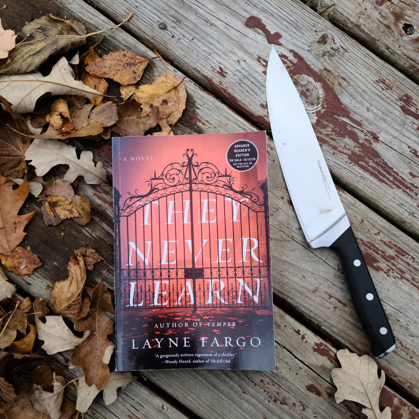 They Never Learn – Layne Fargo – Jessicamap Reviews