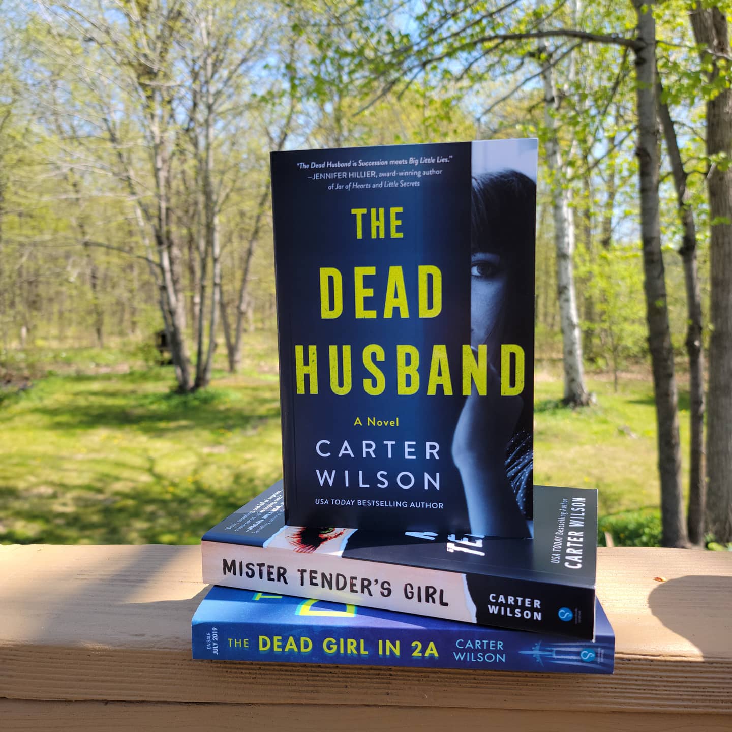 The Dead Husband – Carter Wilson – Jessicamap Reviews