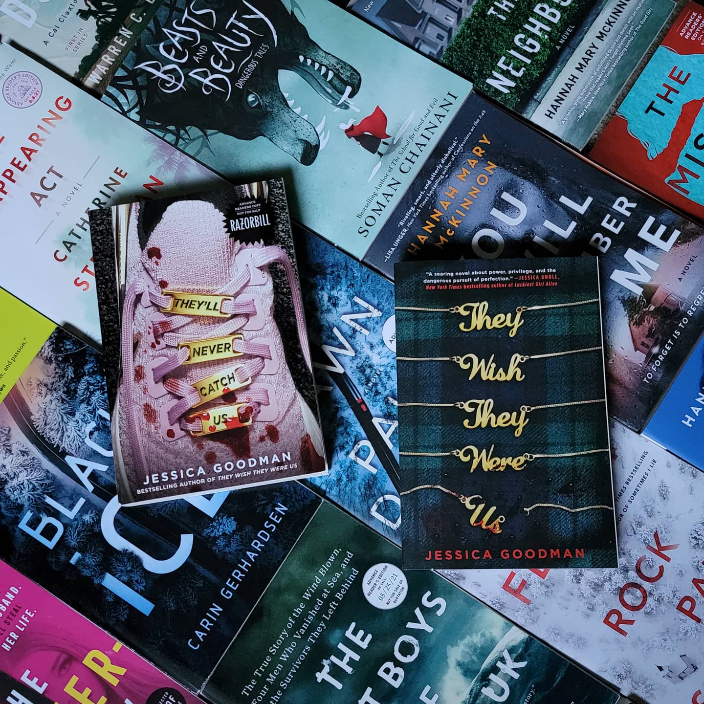 Book Mail – They’ll Never Catch Us by Jessica Goodman – Jessicamap Reviews