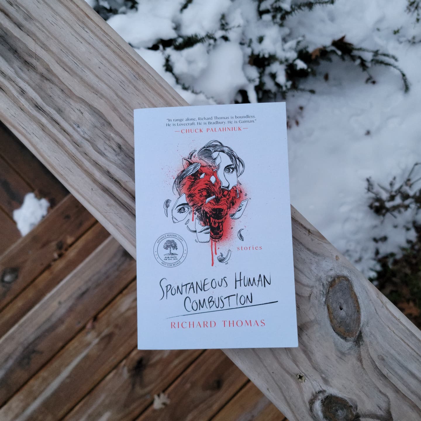 Book Mail – Spontaneous Human Combustion by Richard Thomas – Jessicamap ...