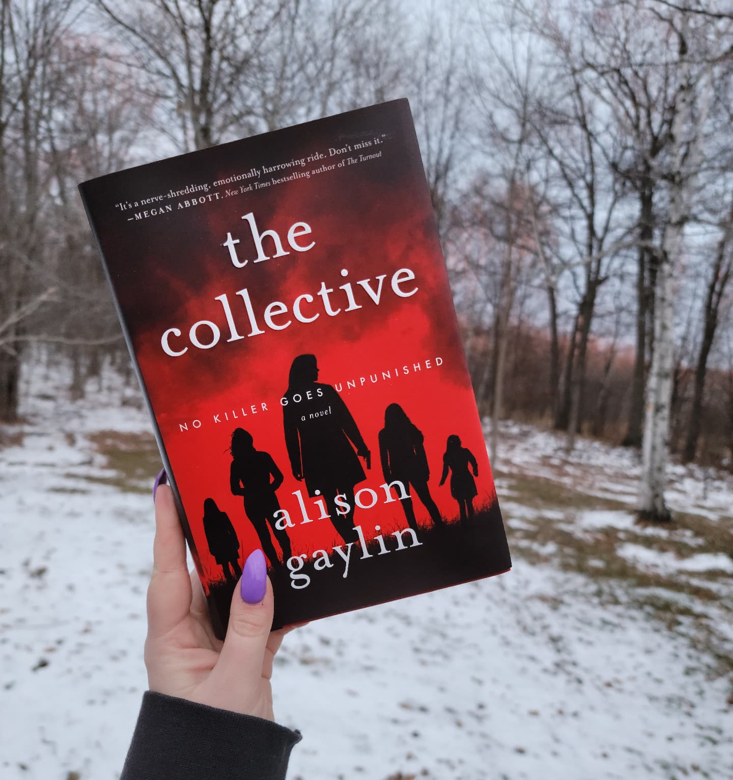 The Collective – Alison Gaylin – Jessicamap Reviews