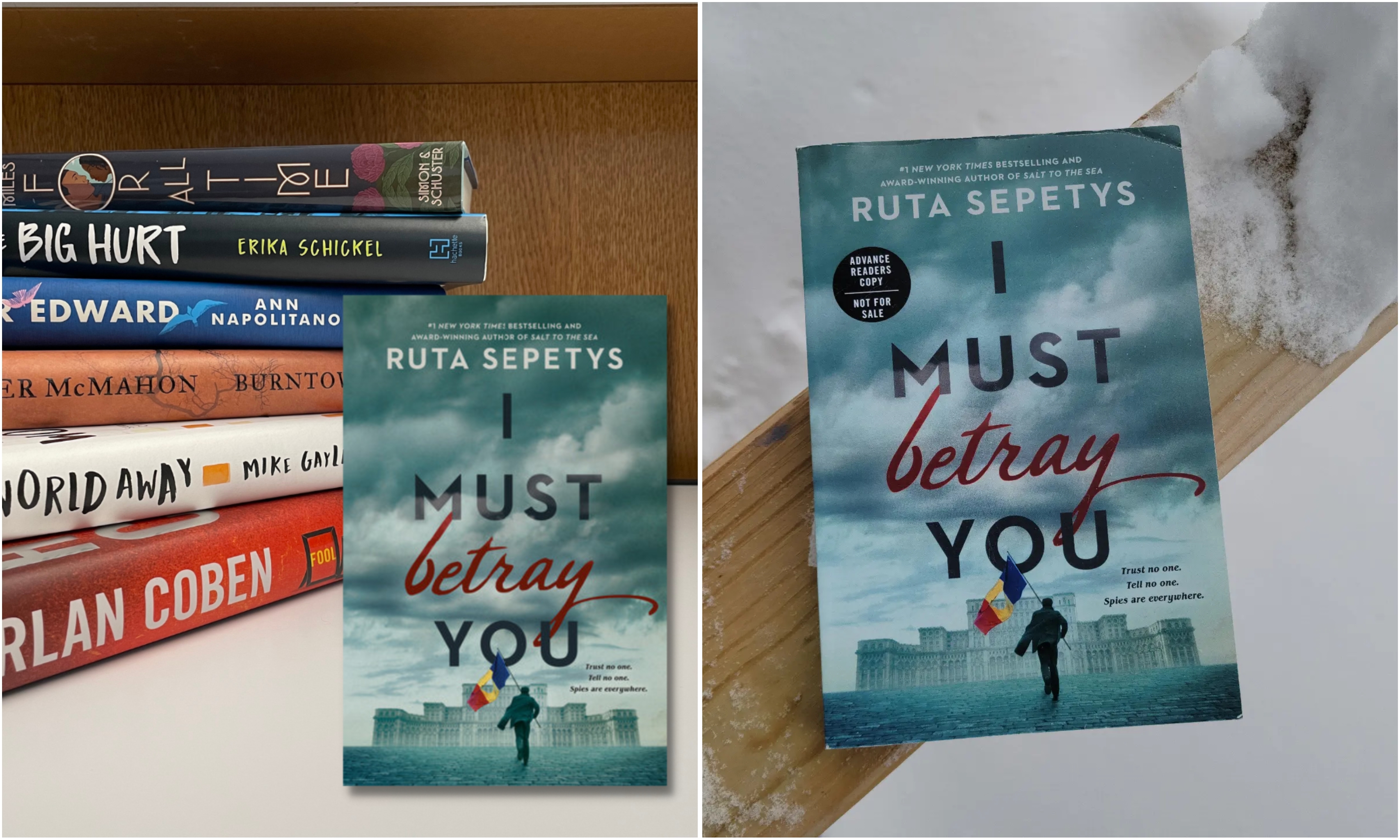 #ATBR2022 – I Must Betray You by Ruta Sepetys – Jessicamap Reviews