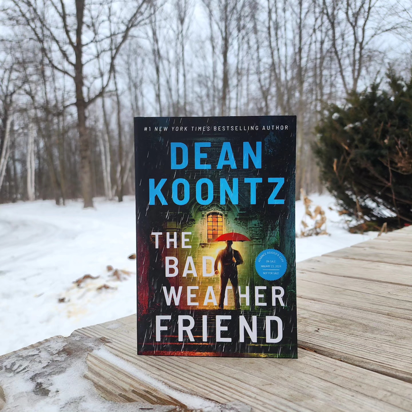 The Bad Weather Friend – Dean Koontz – Jessicamap Reviews