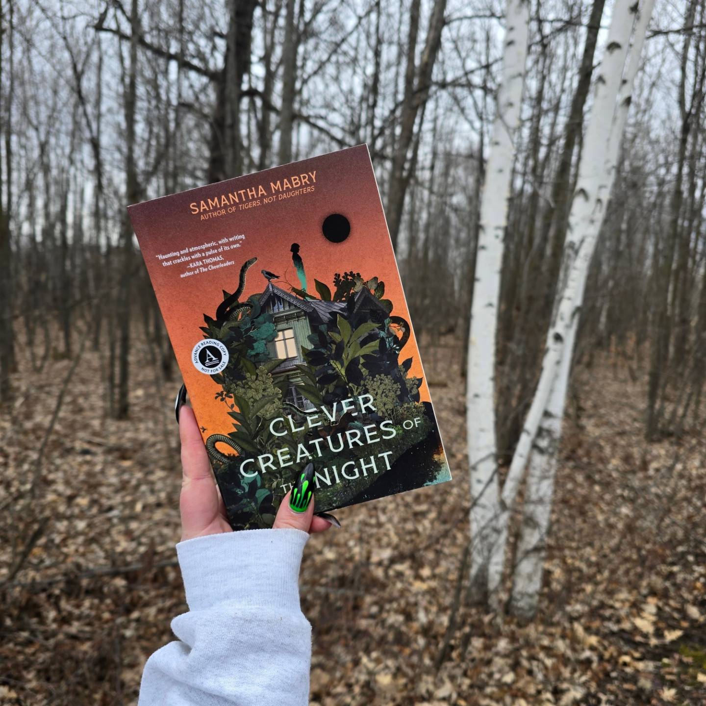 Clever Creatures of the Night – Samantha Mabry – Jessicamap Reviews