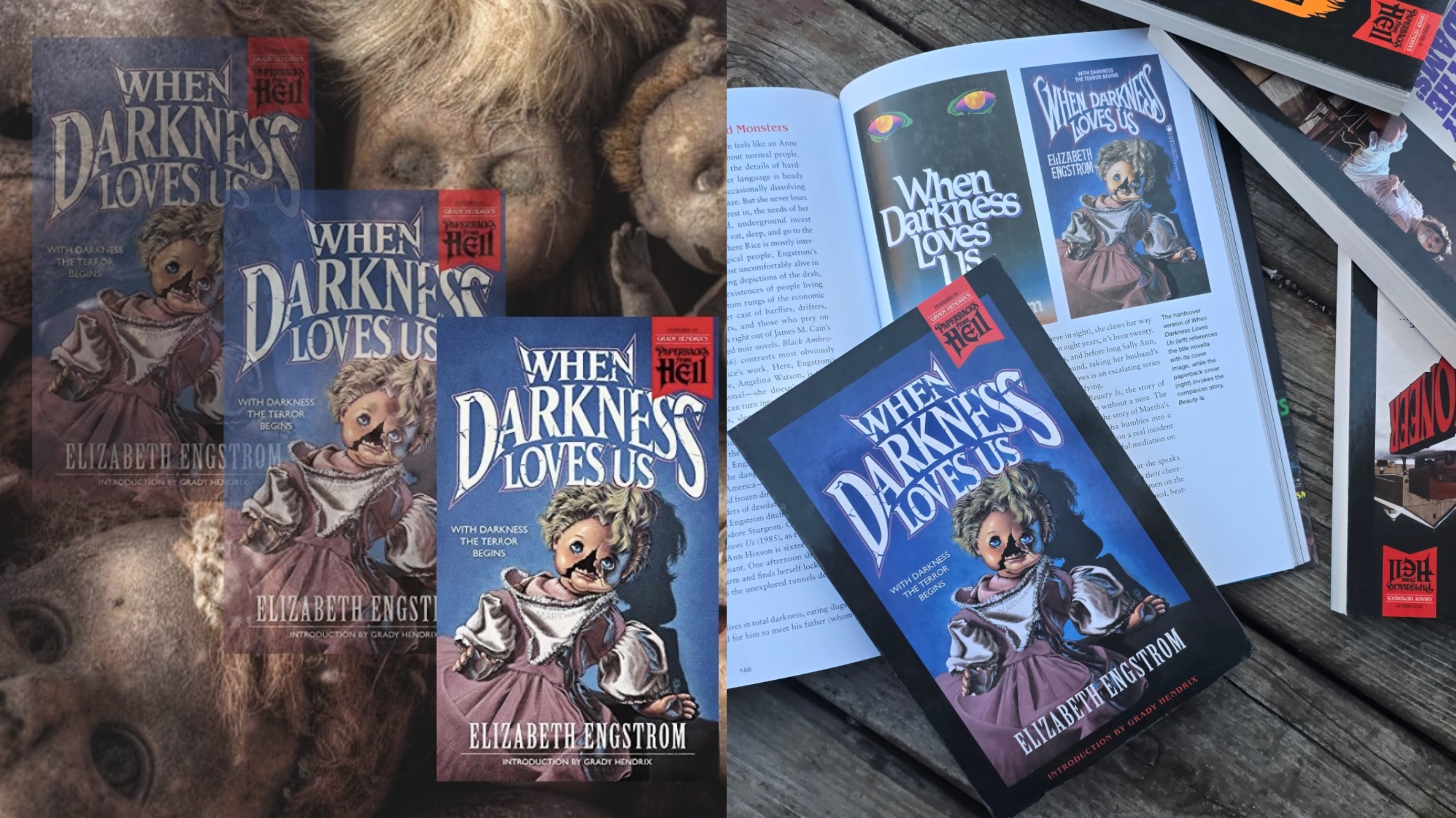 #ATBR2024 – When Darkness Loves Us by Elizabeth Engstrom – Jessicamap ...