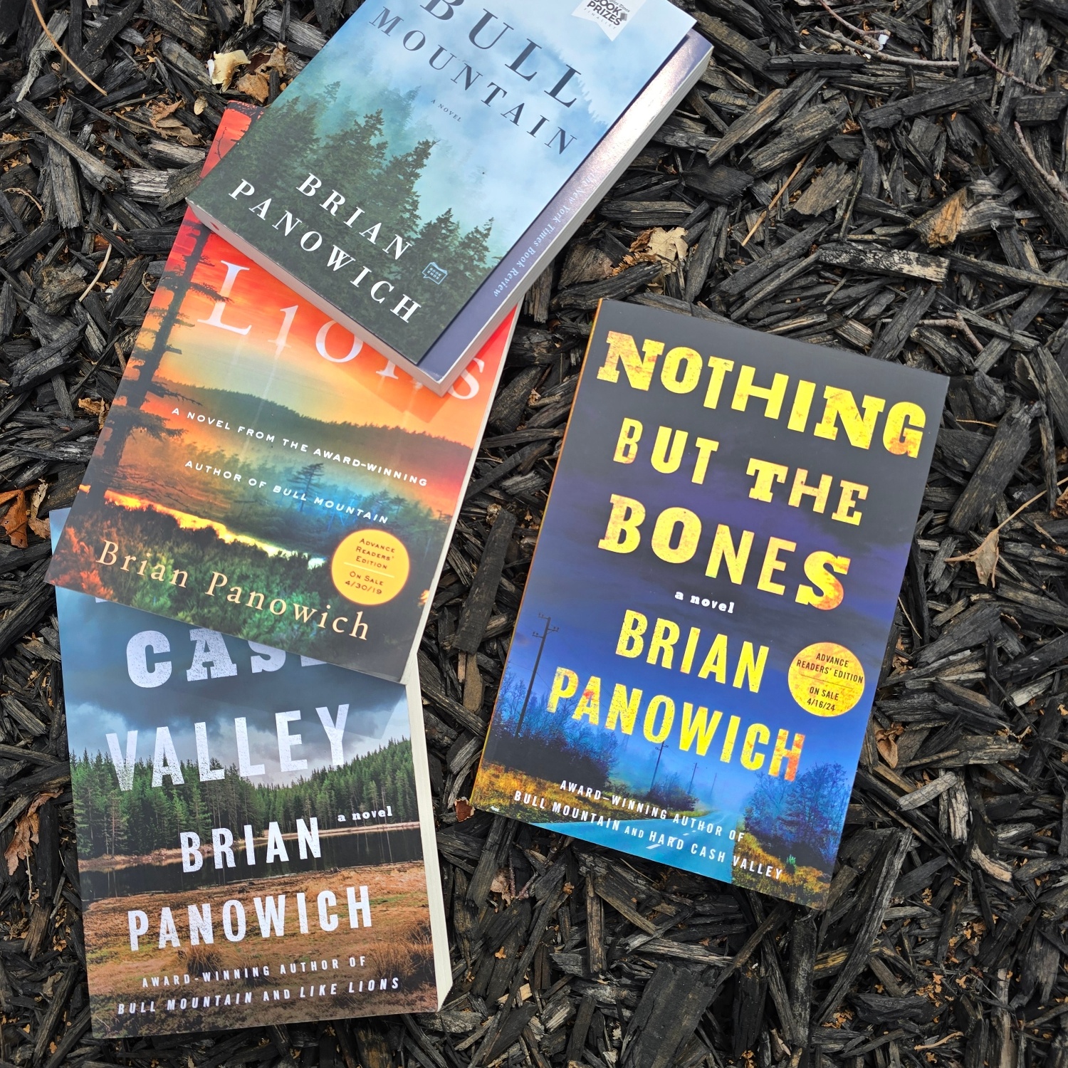 Nothing But the Bones – Brian Panowich – Jessicamap Reviews