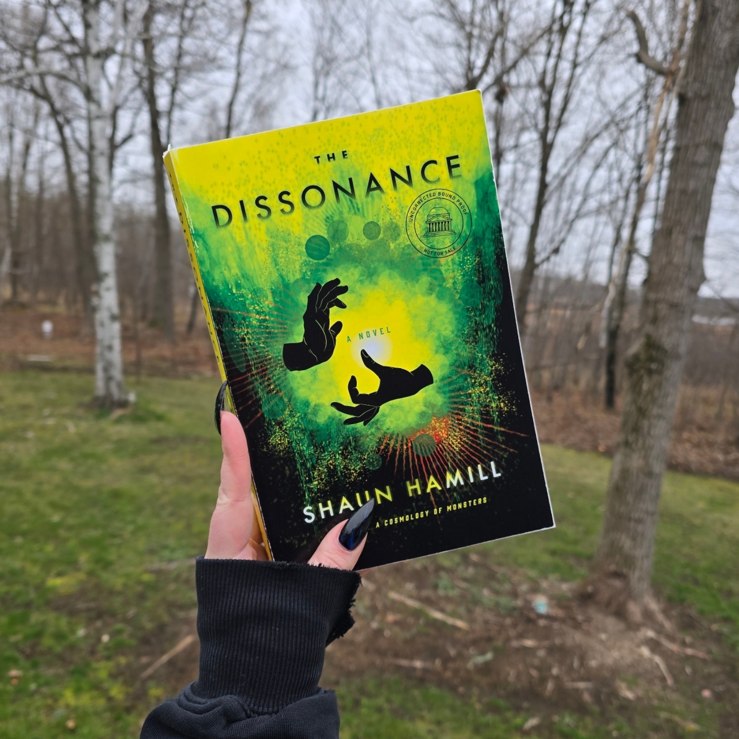 Book Mail – The Dissonance by Shaun Hamill – Jessicamap Reviews