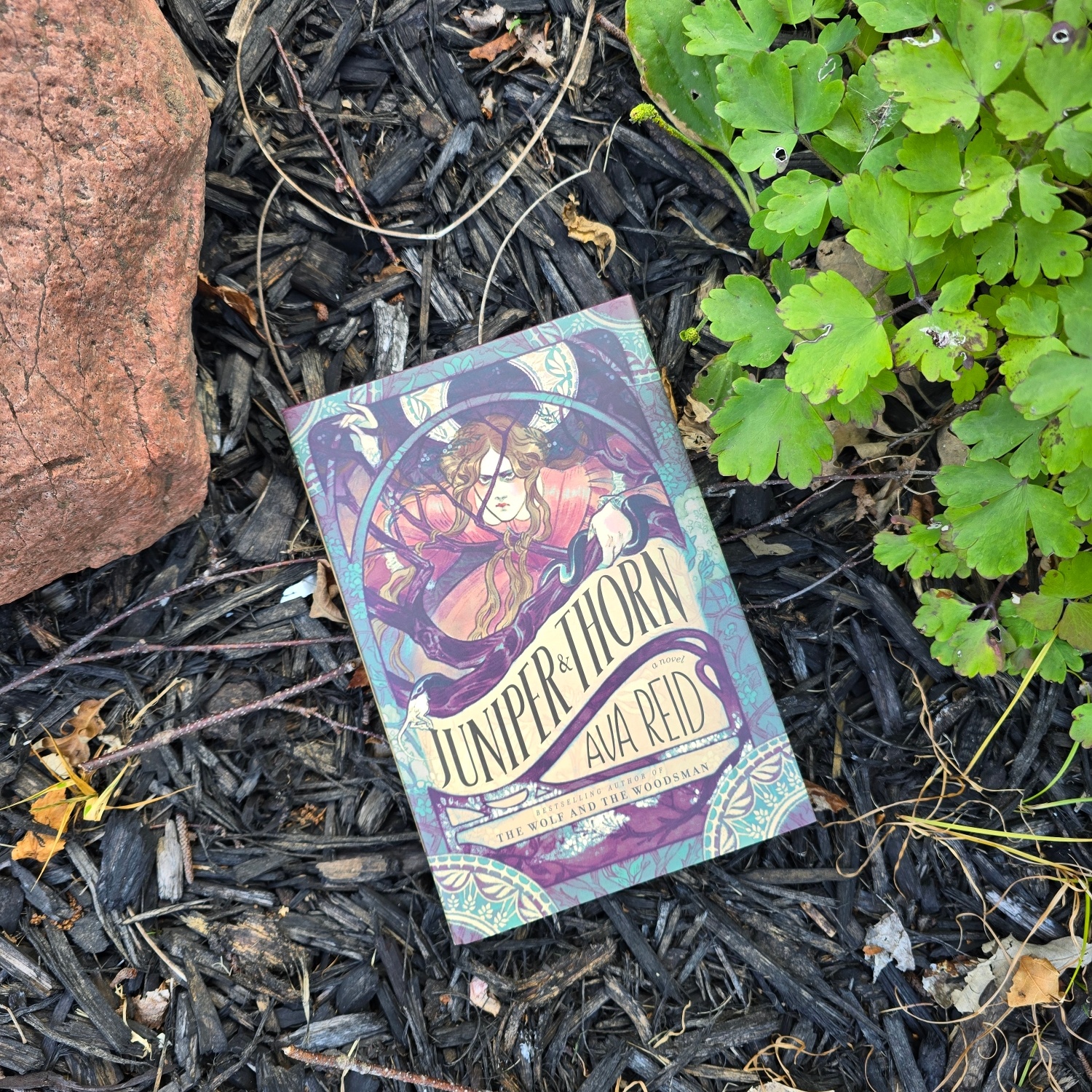 #24in24 – Juniper & Thorn by Ava Reid – Jessicamap Reviews