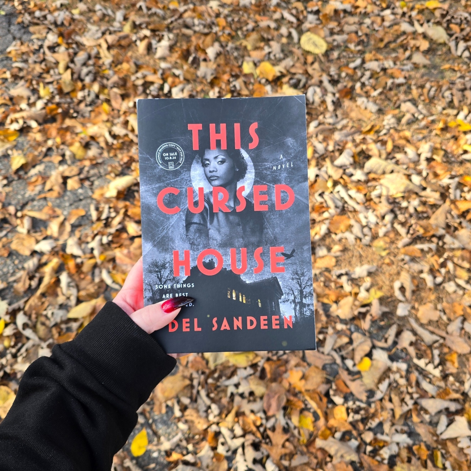 This Cursed House – Del Sandeen – Jessicamap Reviews