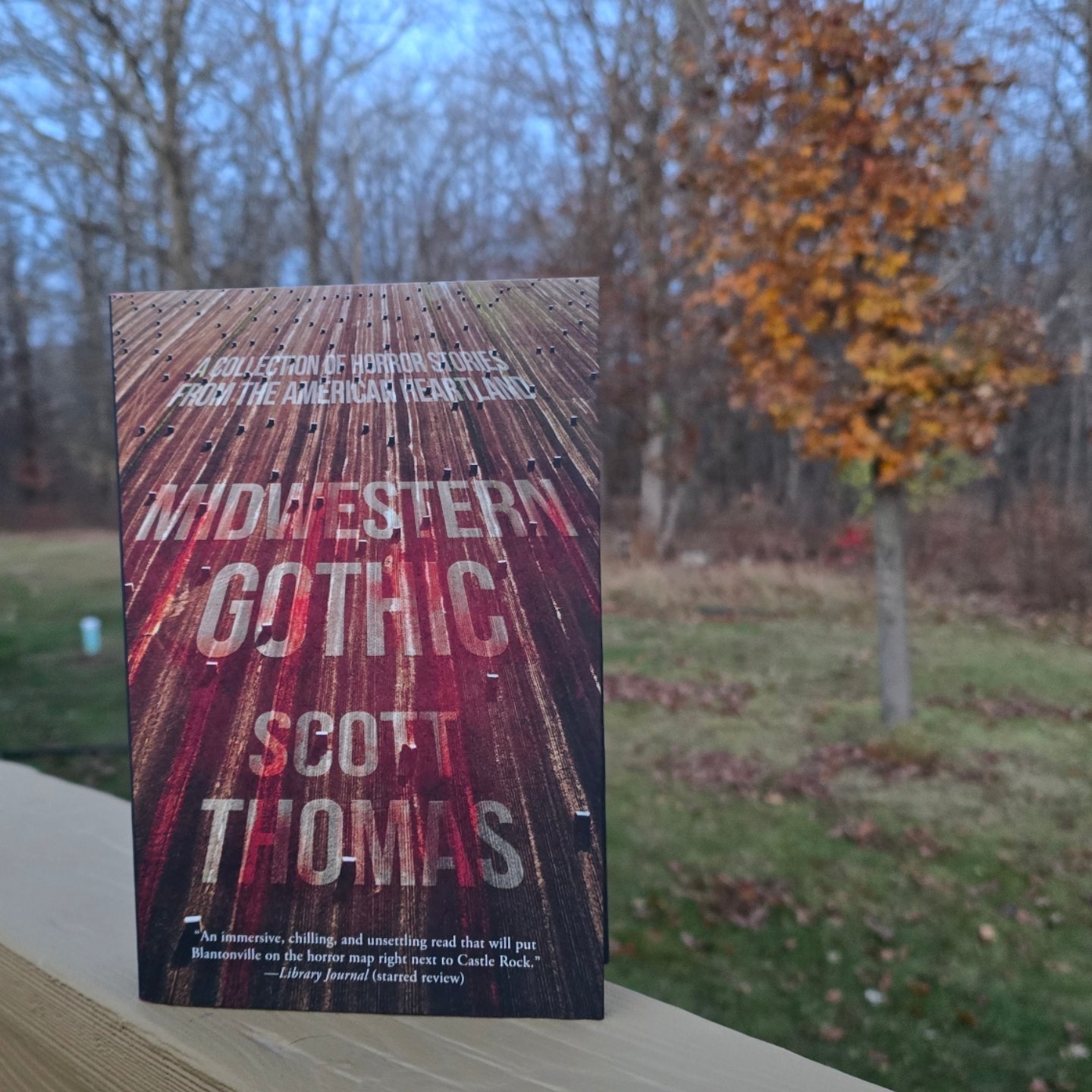 Midwestern Gothic – Scott Thomas – Jessicamap Reviews