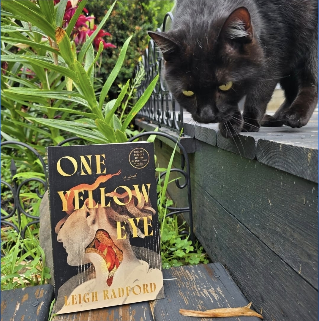 One Yellow Eye – Leigh Radford – Jessicamap Reviews